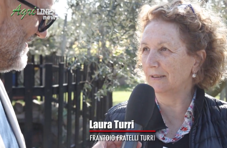 Olio del Garda e Frantoio Olive | Olio Turri